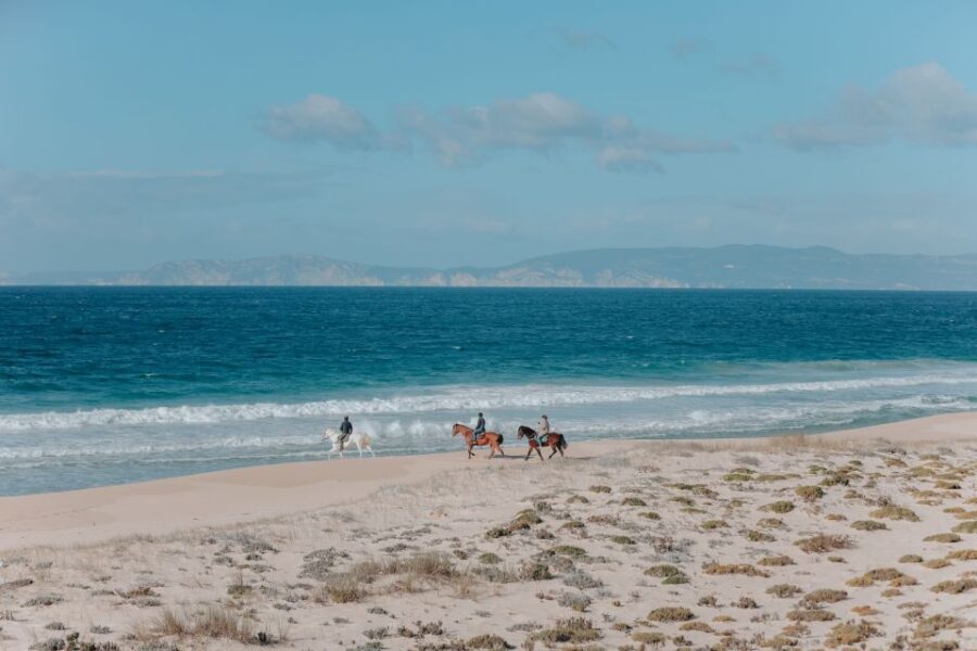 Comporta: Guided Horseback Riding Experience - Who Should Consider This Tour?