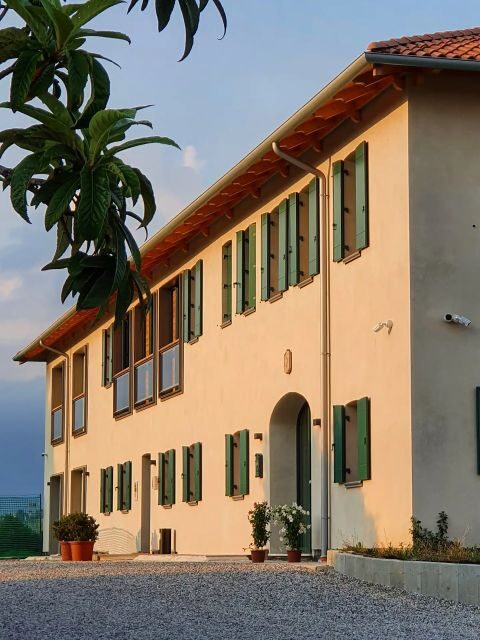 Conegliano: Prosecco Hills and Vineyards tour - What Past Participants Say