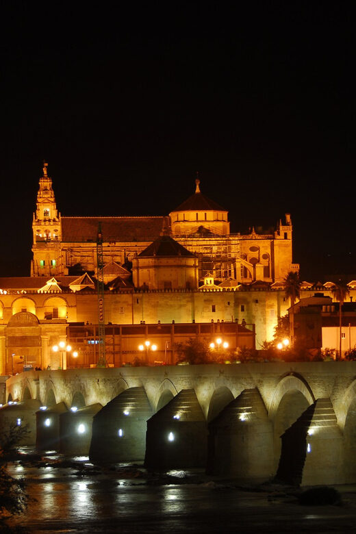 Cordoba at Night by Bike, Electric Bike - Who Should Consider This Tour?
