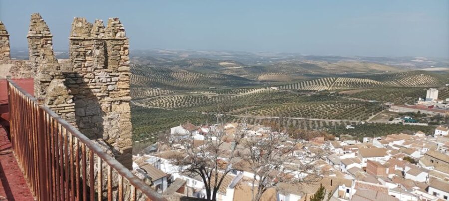 Córdoba: Ducal Castle Guided Walking Tour - Who Will Enjoy This Tour?