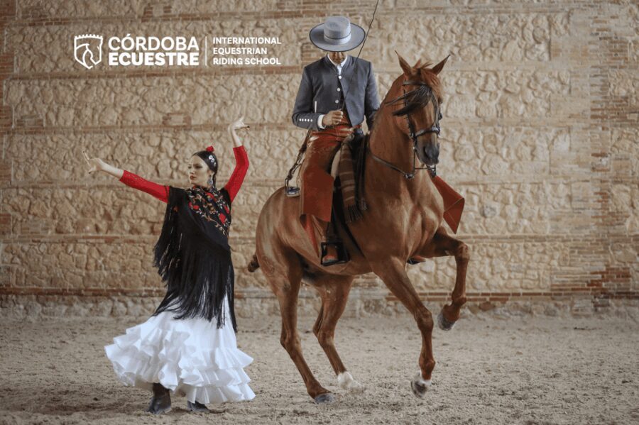Cordoba: Equestrian Show General Entry - An Up-Cclose View of the Show Experience