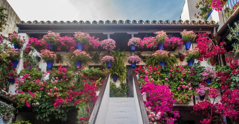 Córdoba: Guided Tour of the Patios - Exploring Córdoba’s Patios: A Guide to the City’s Floral Treasures