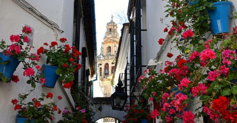 Córdoba: Mosque-Cathedral of Cordoba Private Walking Tour - Practical Details and Value
