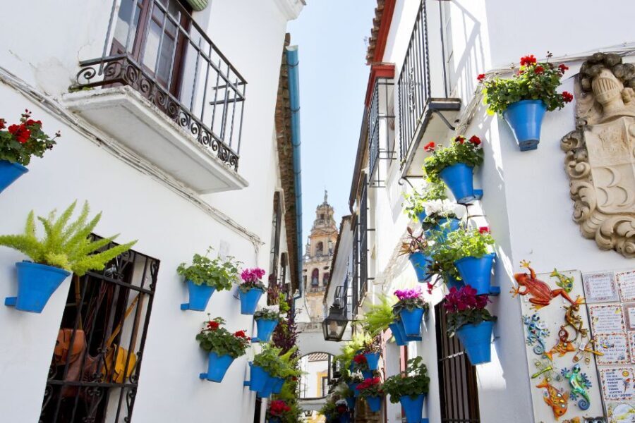 Cordoba Mosque & Jewish Quarter Tour with Tickets - What Makes This Tour Stand Out?