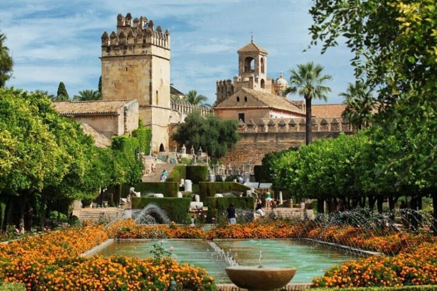 Cordoba: Old Town Private Walking Tour - Why This Tour Works for Travelers