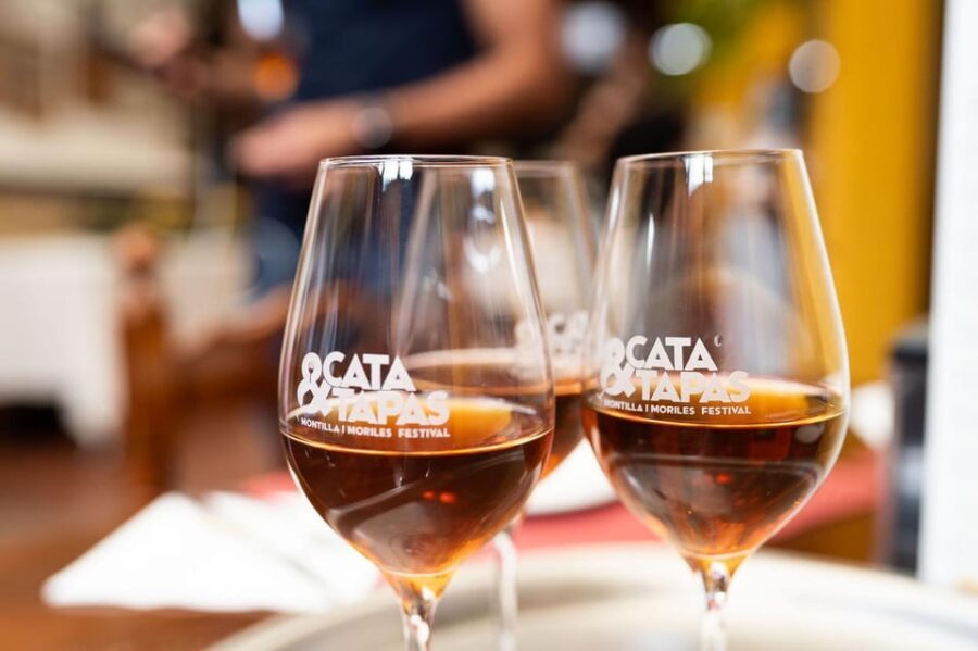 Cordoba: Tapas Bars Tour With Local Guide - Who Should Book This Tour?