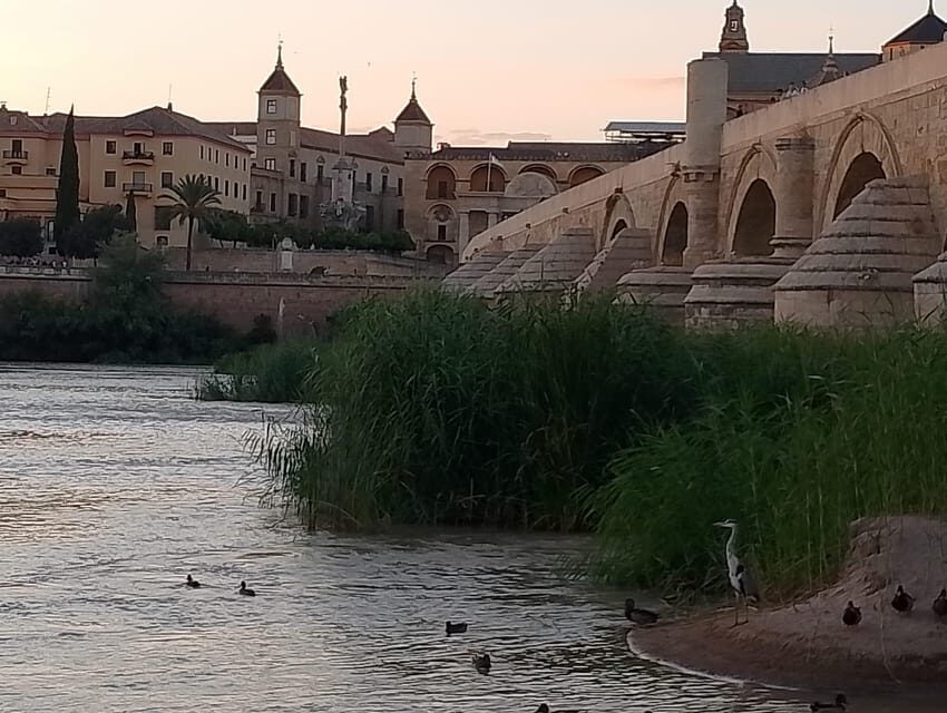 Córdoba: Tour of the three cultures to see the city in a day - Itinerary Breakdown