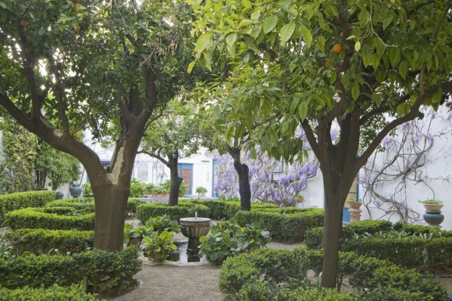 Córdoba: Viana Palace Gardens and Patios Entry Ticket - Authentic Experiences and Reviews