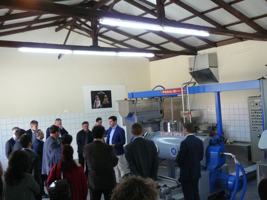 Corfu: Olive Oil Experience - The Governor's Olive Mill - The Tasting and Cultural Significance