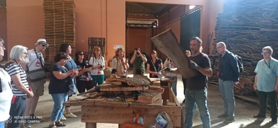 Cork Factory Tour - Who Will Love This Tour?