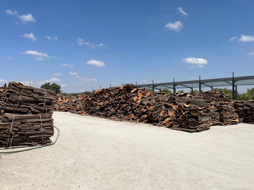Cork Factory, Wine Tasting & Évora Visit - What’s Included and What’s Not