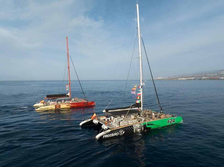 Costa Adeje: Masca and Los Gigantes Whale Watching Cruise - Final Thoughts: Who Will Love This Tour?