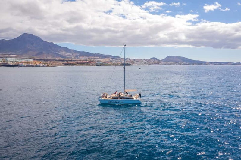 Costa Adeje: Private Catamaran Tour 22 Persons Max - What Makes This Tour Stand Out?