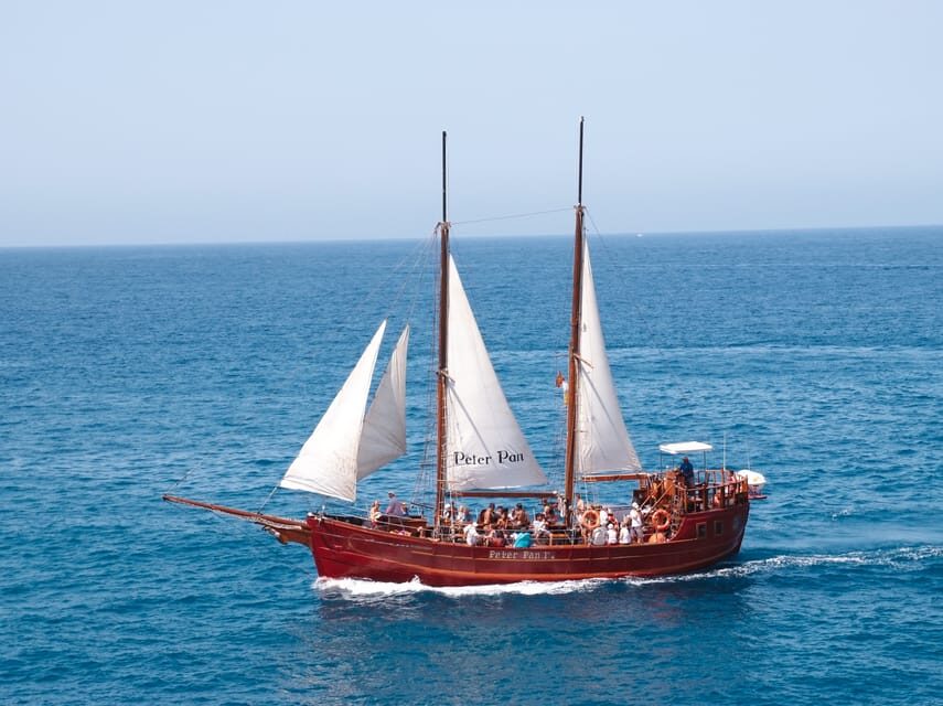 Costa Adeje: Respectful Whale-Watching Sailboat Tour & swim - Authentic Experiences Shared by Travelers
