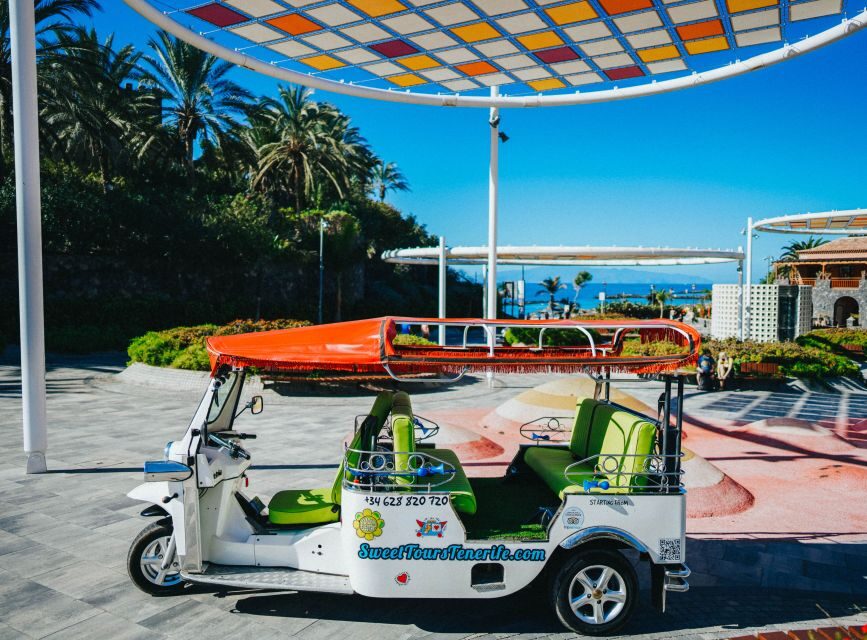 Costa Adeje: Secret Volcano Tuk Tuk Tour - Why This Tour Works Best