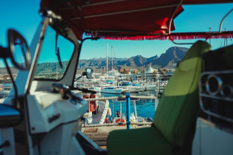 Costa Adeje: Tuk Tuk Tour - Key Points