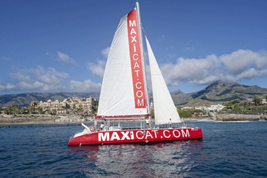 Costa Adeje: Whale and Dolphin Cruise with Food and Pickup - Why the Reviews Are So Consistently Positive