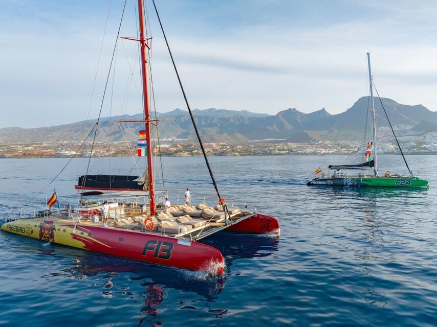 Costa Adeje: Whale Watching Cruise with Snack and Drinks - FAQ