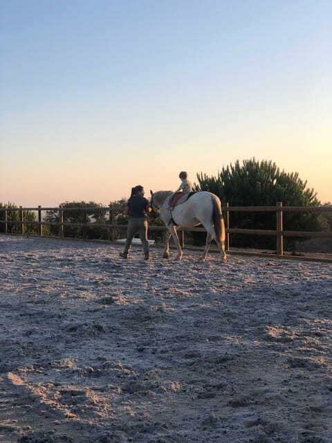 Costa Alentejana: Horse tour in Serra de Grândola - The Sum Up