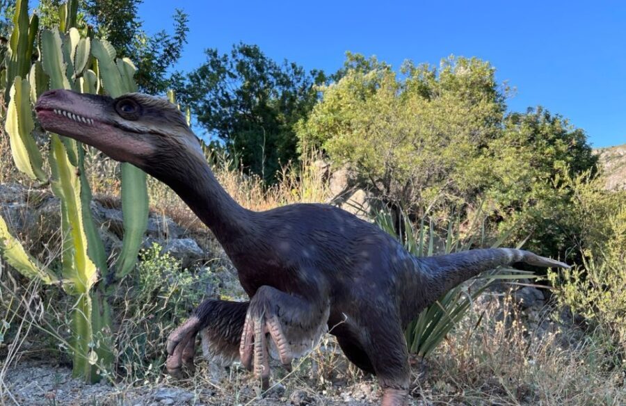 Costa Blanca: DinoPark Algar Entry Ticket - Detailed Breakdown of the Itinerary