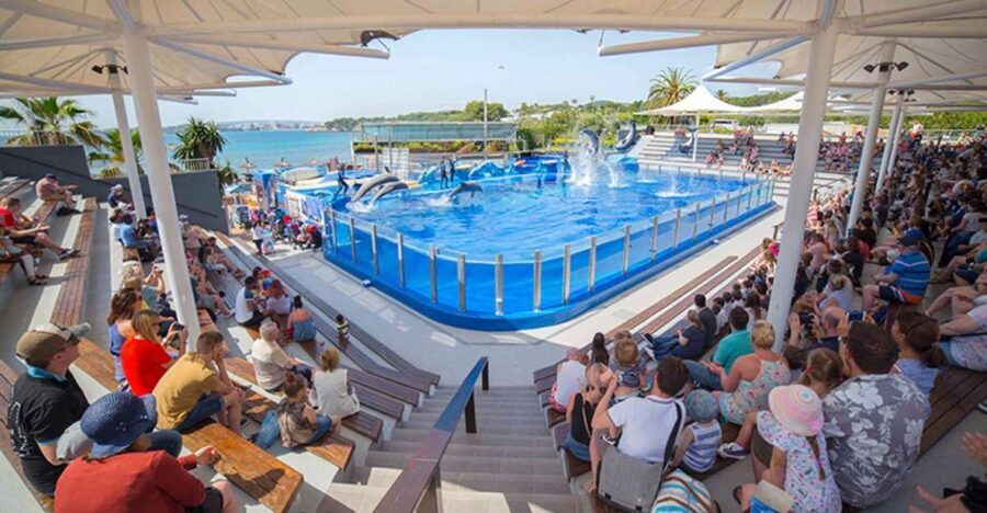 Costa d'en Blanes: Entry Ticket for Marineland Mallorca - What Makes Marineland Mallorca Special?