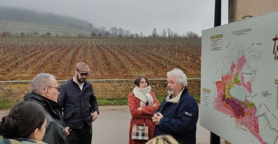 Côte de Nuits Private Local Wineries and Wine Tasting Tour - Who Should Consider This Tour?