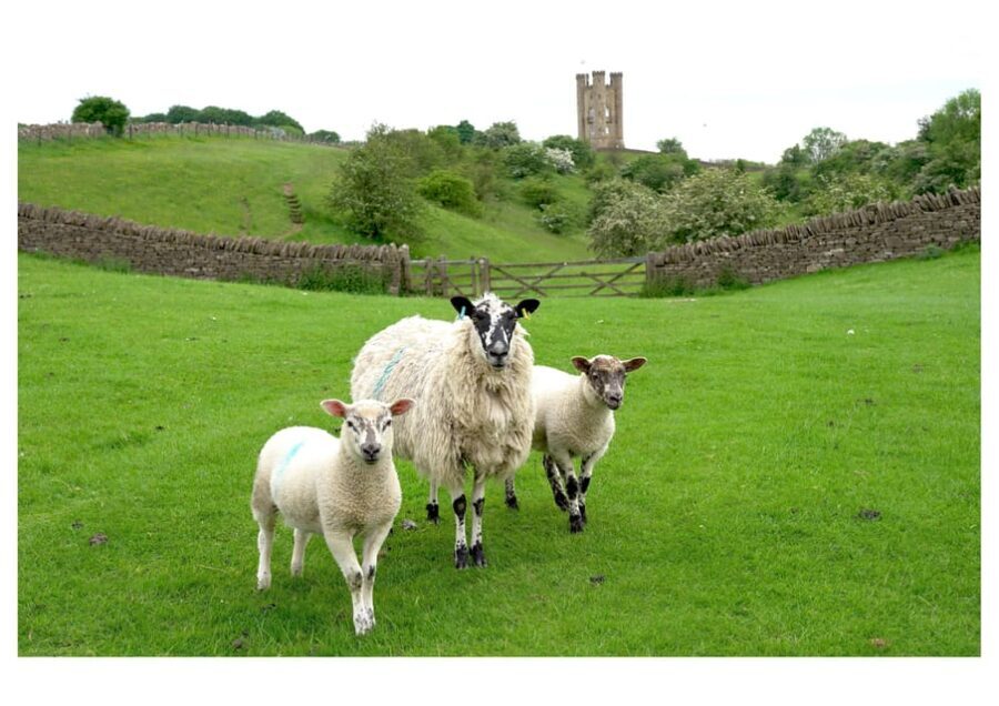 Cotswolds Villages & Countryside: Private Luxury Tour - What’s Included and What’s Not