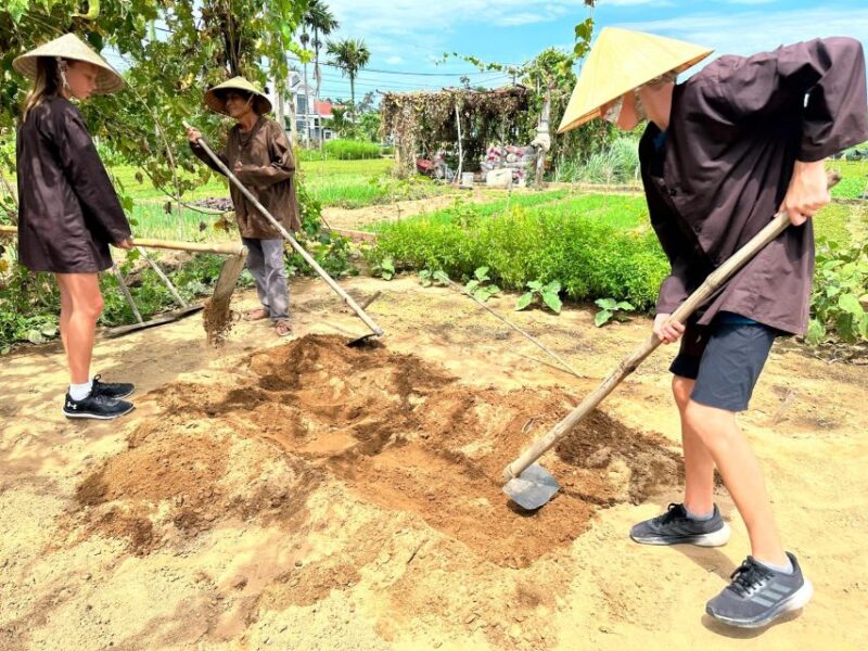 Countryside Biking -Farming -Market -Cooking Class In Hoi An - Key Points