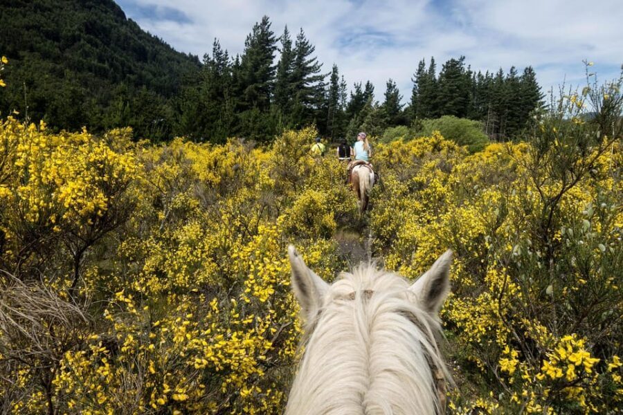 Countryside Immersion with Horseback Ride in Sainte Victoire - Authenticity and Value