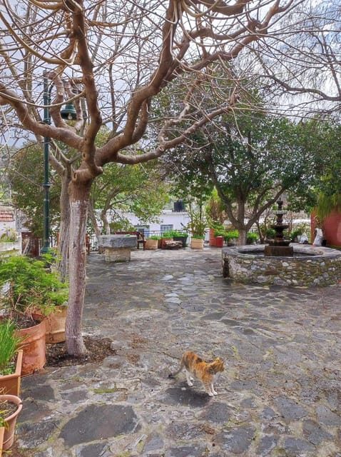 Cretan Traditional Village Assites, with food and drinks - The Experience from Travelers’ Perspectives