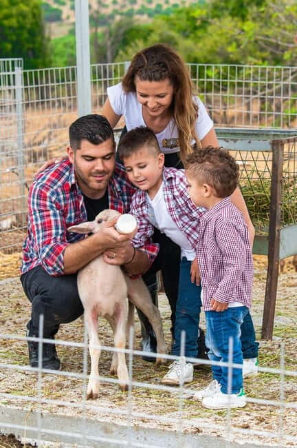 Crete: Farm Visit with Cheese Tasting and Milking Experience - Practical Details and Value