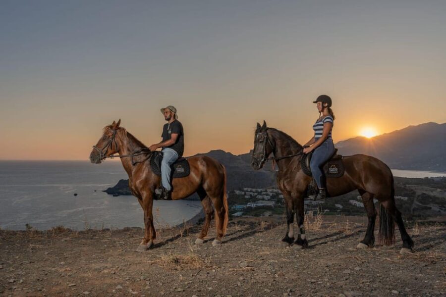Crete Horse Riding: East Coastline Ride - Practical Tips for Travelers