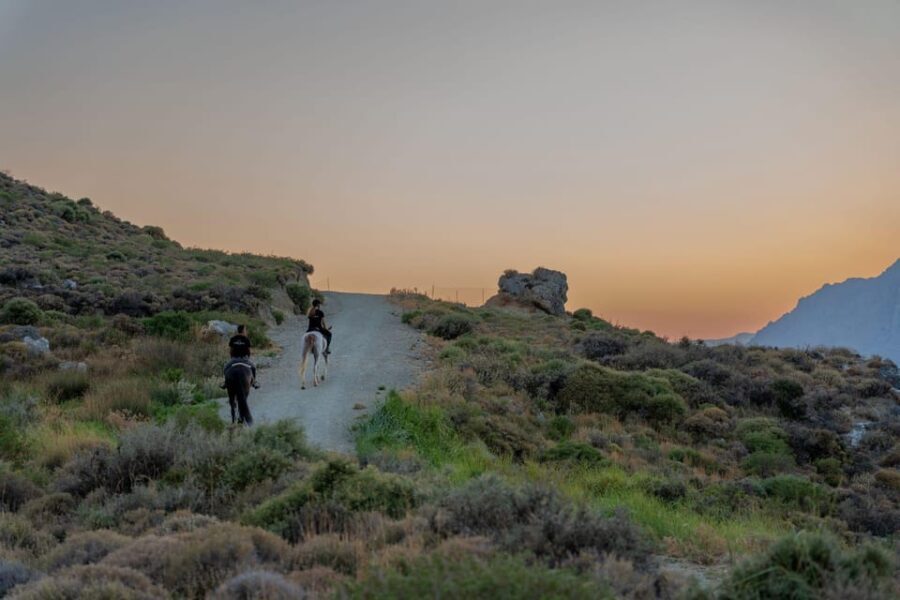 Crete Horse Riding: Mesmerising Sunset Ride - The Itinerary: What to Expect