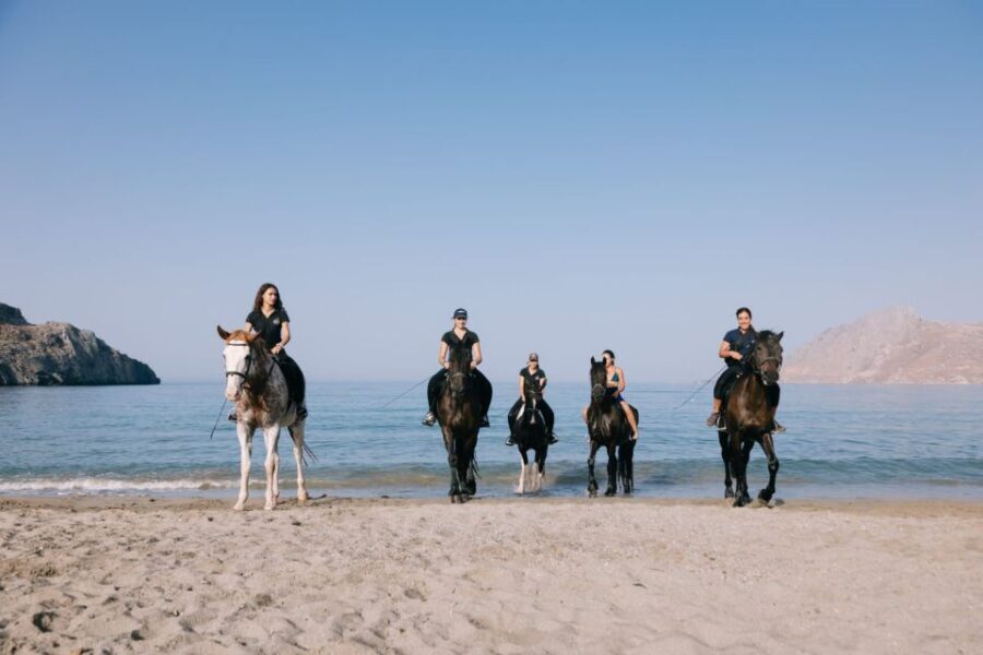 Crete Horse Riding: Plakias Beach Ride - Who Should Consider This Ride?