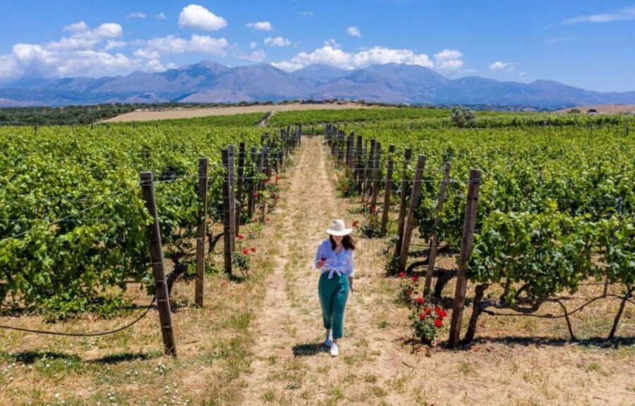Crete: Knossos Palace and Archanes with Wine Tasting Tour - What Makes This Tour Stand Out