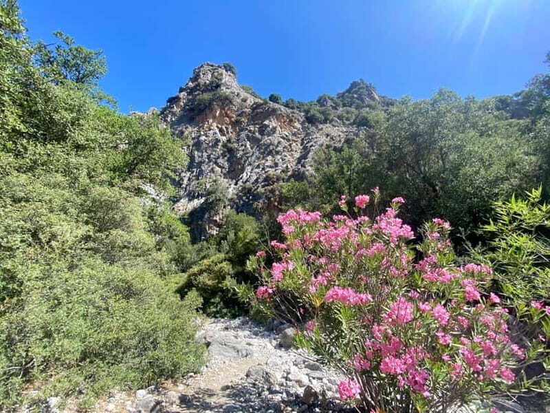 Crete: Kritsa Canyon Guided Hiking Tour - The Itinerary: What to Expect in Detail