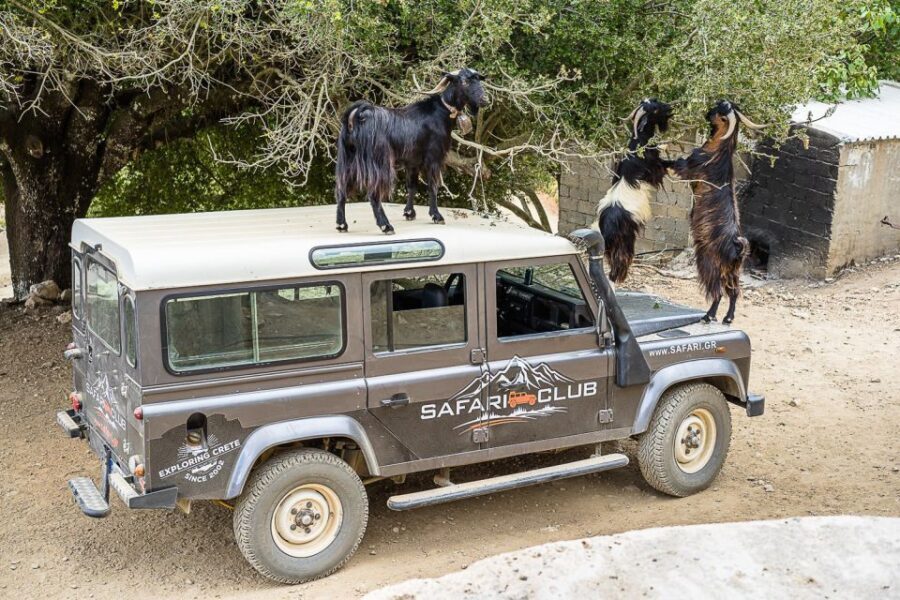Crete: Land Rover Safari on Minoan Route - Final Thoughts: Who Will Love This Tour?