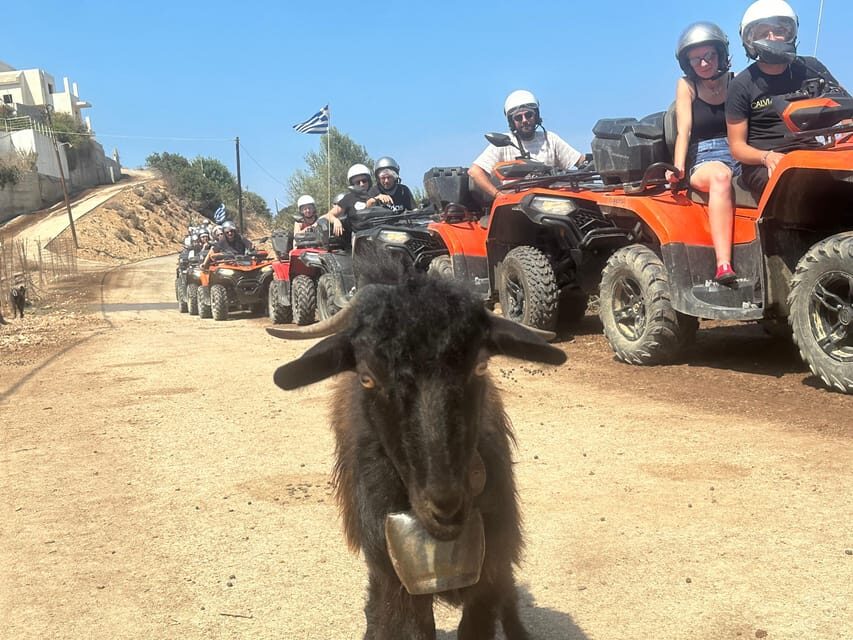 Crete: Quad Safari, Olive Mill with Tasting & Ghost Village - What to Expect During the Tour