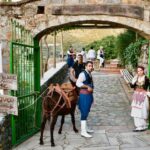 Crete: Traditional Cretan Night: Live Show and Dinner - The Itinerary: What to Expect