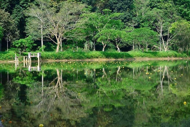 Cuc Phuong National Park Private Day Tour: Trekking & Primates - Detailed Breakdown of the Itinerary: What to Expect