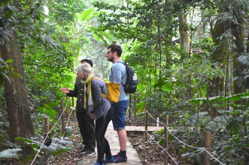 Cuc Phuong National Park Trekking Day Tour from Ninh Binh - Setting the Scene: What to Expect on the Day