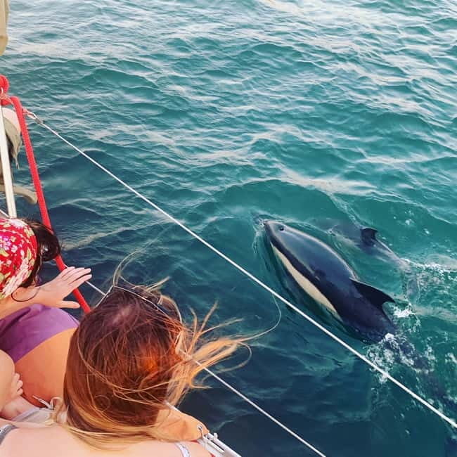 Cultural Sailing Tour in Lisbon - How the Itinerary Unfolds