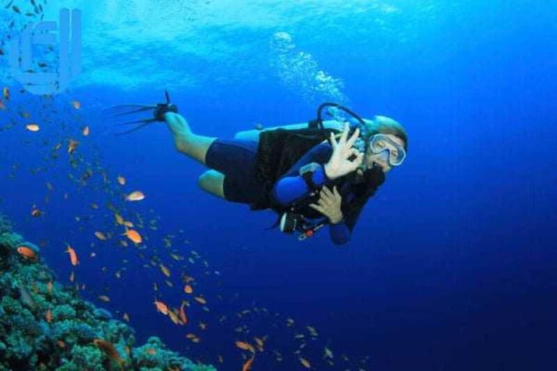 Da Nang: Cham Island Boat Day Trip with Snorkeling and Lunch - Key Points