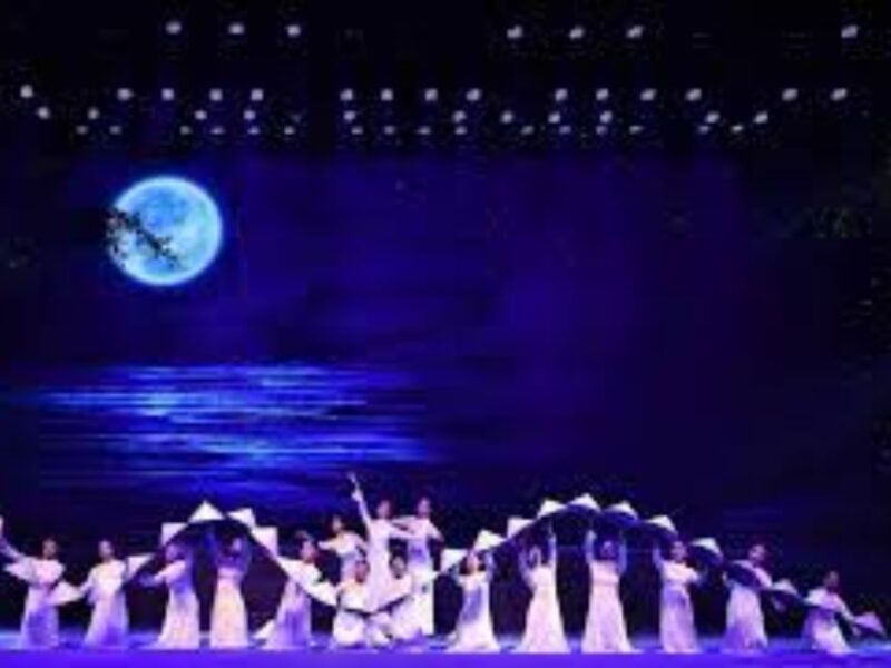 Da Nang Charming Show Viet Nam - Key Points