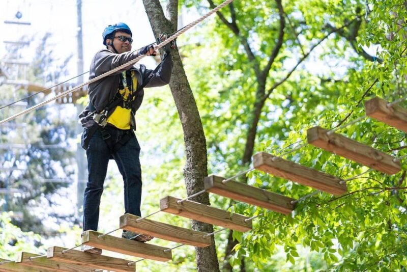 Dallas: Aerial Adventure Course Park Pass - Key Points