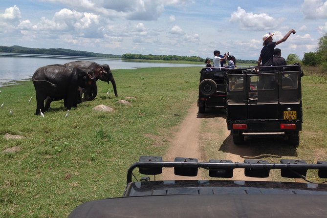 Day Tour from kandy to Sigiriya, Dambulla & National Park safari. - Key Points