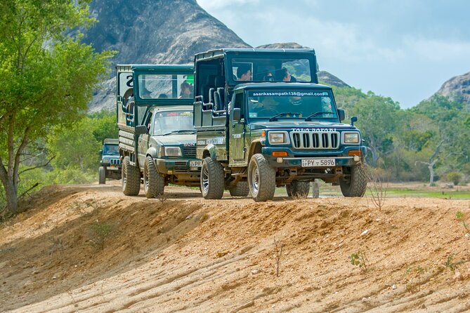 Day Tour to Wilpattu National Park from Colombo - An Introduction to the Wilpattu National Park Tour