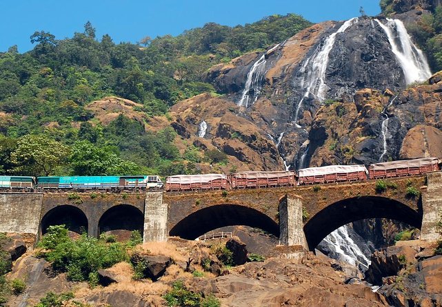 Day Trip to Mollem National Park Including Dudhsagar Falls and Jeep Safari from Goa - An In-Depth Look at the Day Trip to Mollem National Park