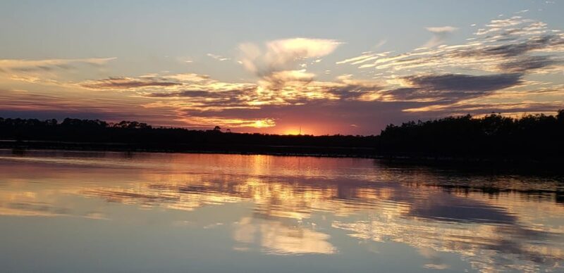 Daytona/New Smyrna Beach: Unforgettable Kayak Wildlife tours - Key Points