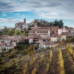 Degustazione di vini del Monferrato con visita della cantina - A Scenic Tasting in the Heart of the Hills